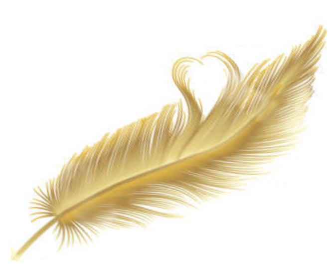 Golden Feather Initiative - Ways that TLTP supports the community ...